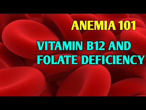 Anemia 101: Vitamin B12 and Folate deficiency Anemia