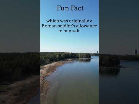 Where does the word ”salary” come from? #funfacts #salary#salt
