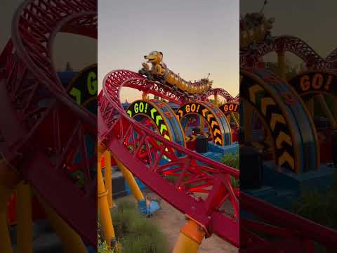 Slinky Dog #shorts #fyp #dog #slinky #coaster #fast #lol #omg #ready #set #go #fun #travel #vacation
