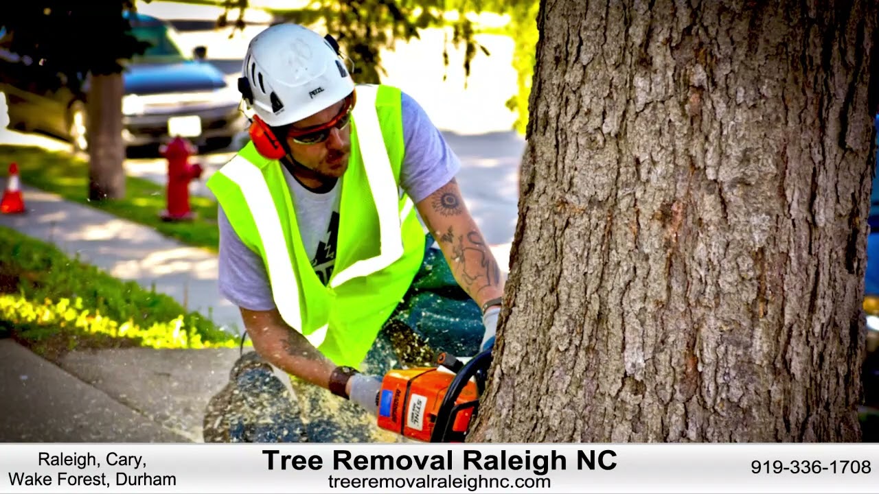 #1 Raleigh Tree Removal  919-336-1708 - Call For Free Quote Tree Service Raleigh
