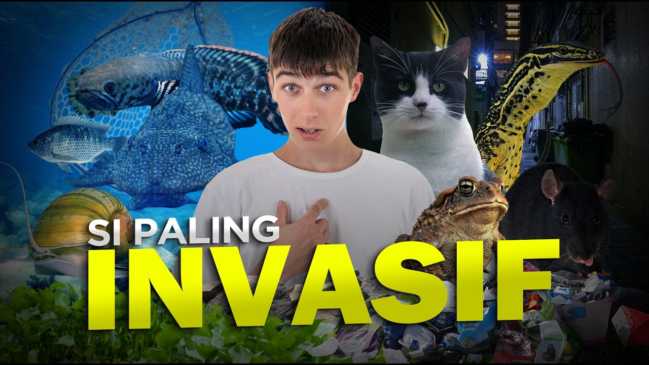 Invasif.exe #AlamSemenit
