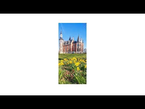 Castle d'Aertrycke Torhout Belgium #Shorts