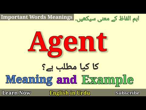 Agent Meaning in Urdu