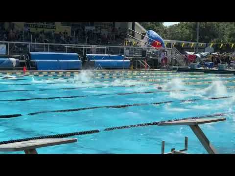 06/21/2025 100 Meters Fly | Sarasota Sharks Intrasquad