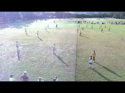 250426 W12A v Gymea