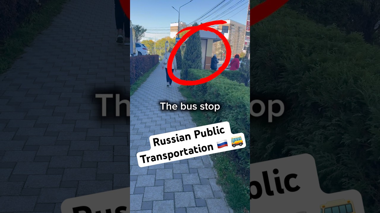 Russian Public Transportation 🇷🇺 🚌 #publictransportation #russia2025 #busstop #reallife #shorts