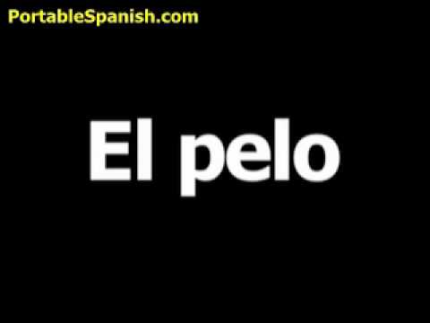 Spanish word for hair is el pelo