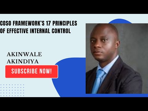 COSO Framework’s 17 Principles of Effective Internal Control