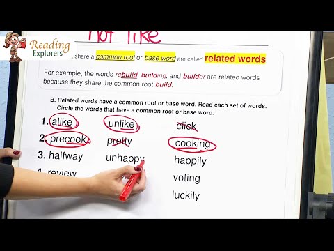 3-368: Prefix & Root Words