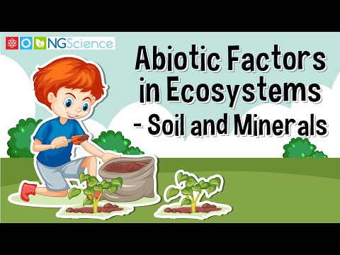 Abiotic Factors in Ecosystems – Soil and Minerals