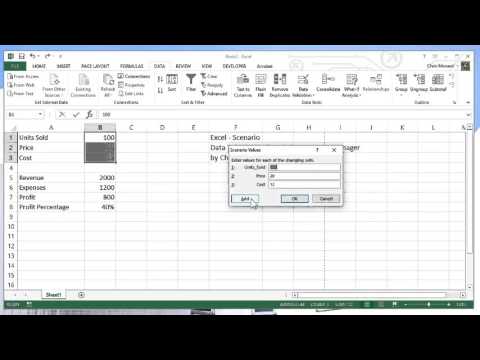Excel Scenario Manager for budgeting and forecasting by Chris Menard