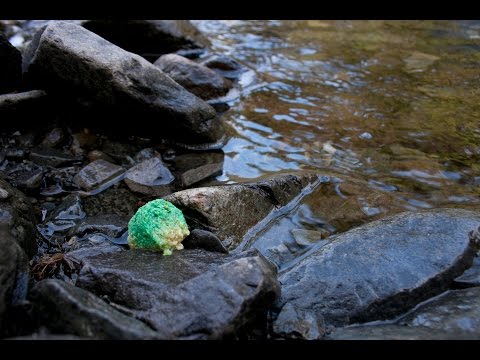 1080 Poison - Risk in Water - EPA
