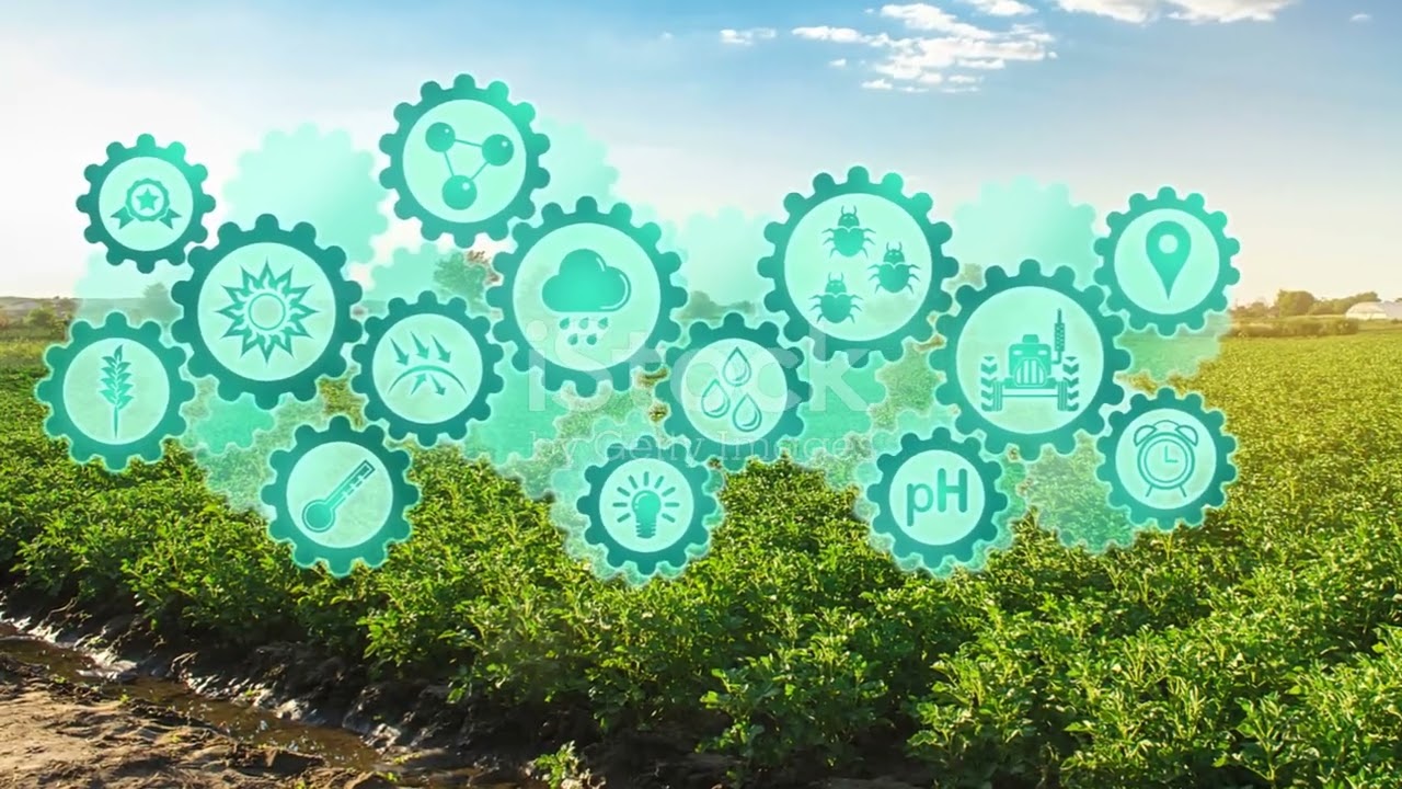 Team Snack Overflow | IBM TechXchange Hackathon solution video