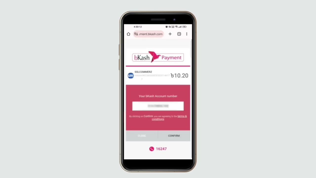 The SSLCOMMERZ payment process