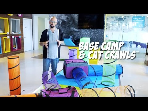 Jackson Galaxy Collection: Base Camp, Cat Crawls, Carrier