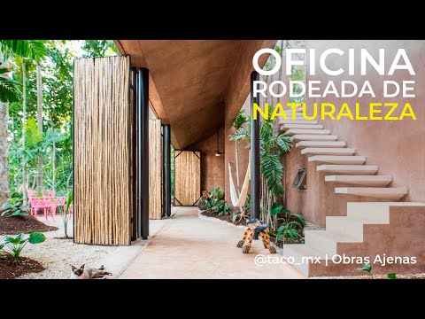 OFICINA RODEADA DE NATURALEZA | @TACO Taller de Arquitectura Contextual | PARTE 1