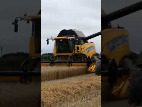 Harvesting wheat in Ireland #newholland #tractor #farmequipment #farm #farmmachinery