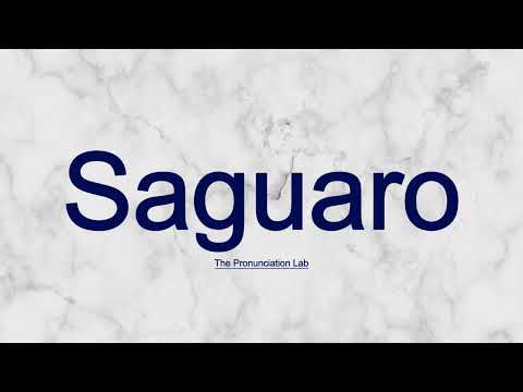 Saguaro Pronunciation: How to Pronounce Saguaro โ Did You Get It Right?