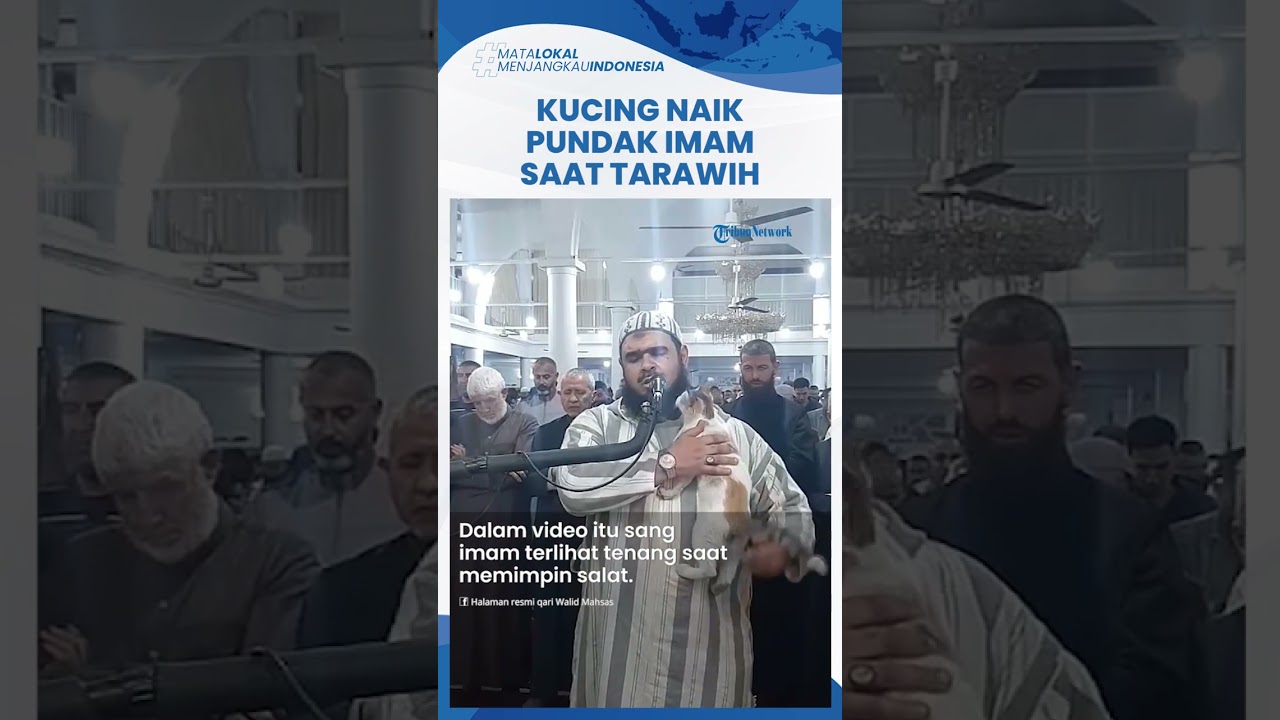 Viral Video Kucing Melompat Naik ke Pundak saat Salat Tarawih dan ... Viral Video Kucing Melompat Naik ke Pundak saat Salat Tarawih dan ...