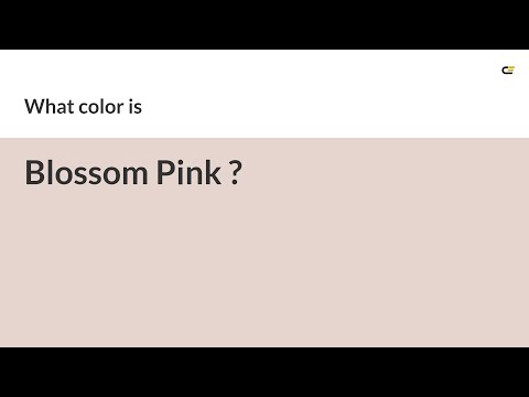 Blossom Pink color #e6d5ce hex color - Orange color - Cool color e6d5ce
