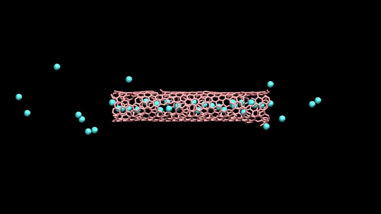LAMMPS tutorials | Exercise | Insert gas in the carbon nanotube
