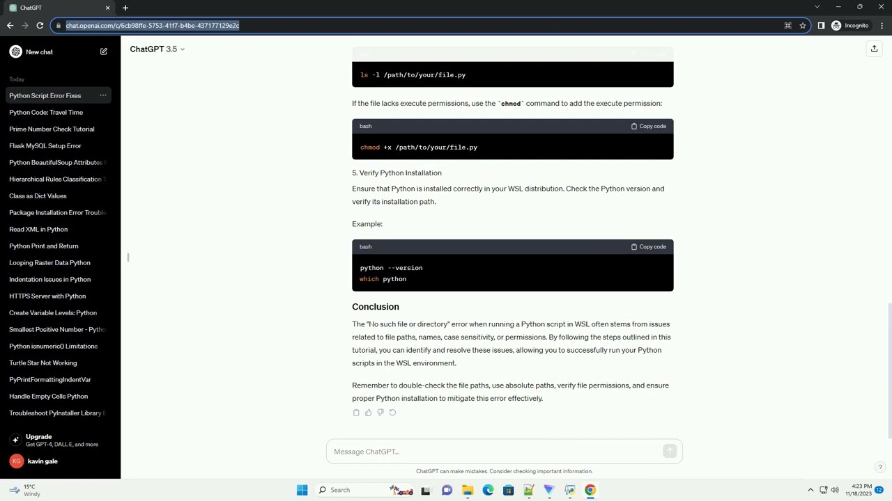 No such file or directory when running a python script in WSL
