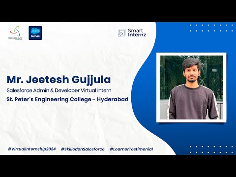 Virtual Internship Program