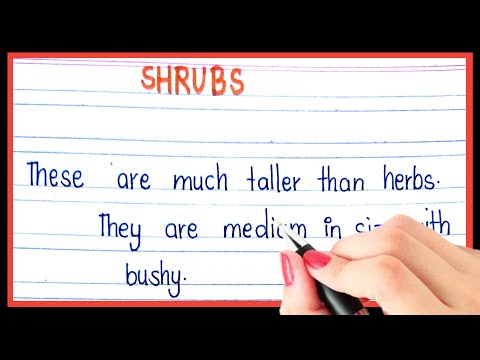 What are shrubs | Definition of shrubs | Types of shrubs | Benefits of shrubs | Types of leaves