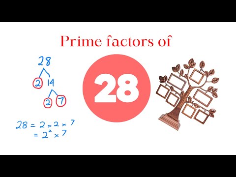 Factor tree for 28