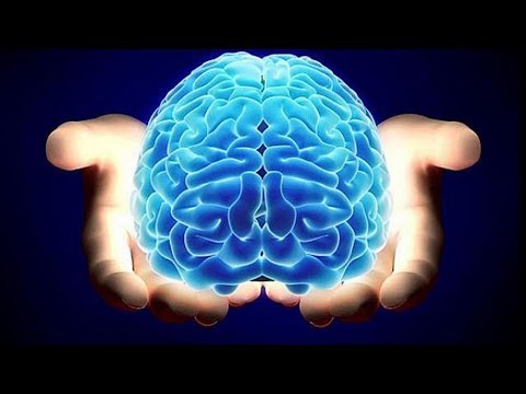 Plasticity of the primary visual cortex: this area of your brain does not mature until you turn 36.