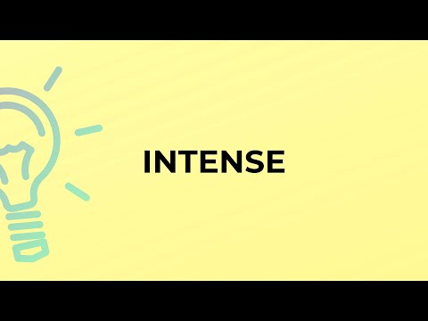 What is the meaning of the word INTENSE?