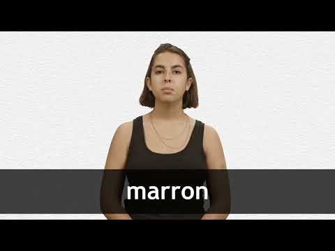 English Translation of “MARRON” | Collins French-English Dictionary