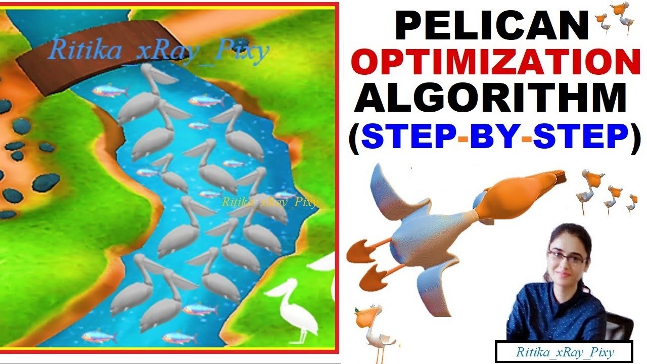 Pelican Optimization Algorithm || Step-By-Step || with Example ~xRay Pixy