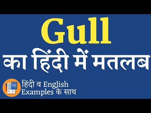 Gull meaning in hindi | Gull ka matlab kya hota hai | Gull ka arth kya hota hai | Gull ka hindi