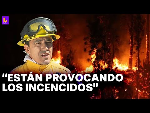 Personas "malintencionadas" provocan incendios forestales en Quito, asegura bombero