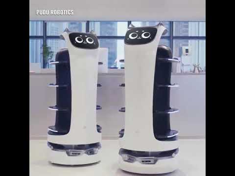 Meet BellaBot, the table-waiting #robot cat with a #personality