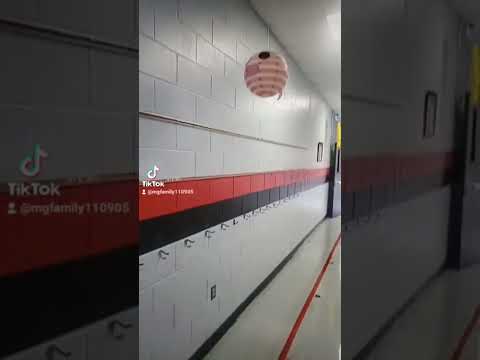 Decorated some of our first grade hall. 🤣🙃❤ #firstgrade #summer #school #teachers #workingtogether