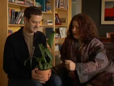 Personal Plant Therapy