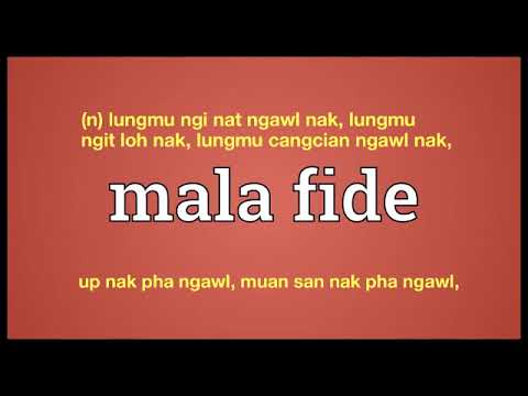 Mala fide meaning in Ngawn