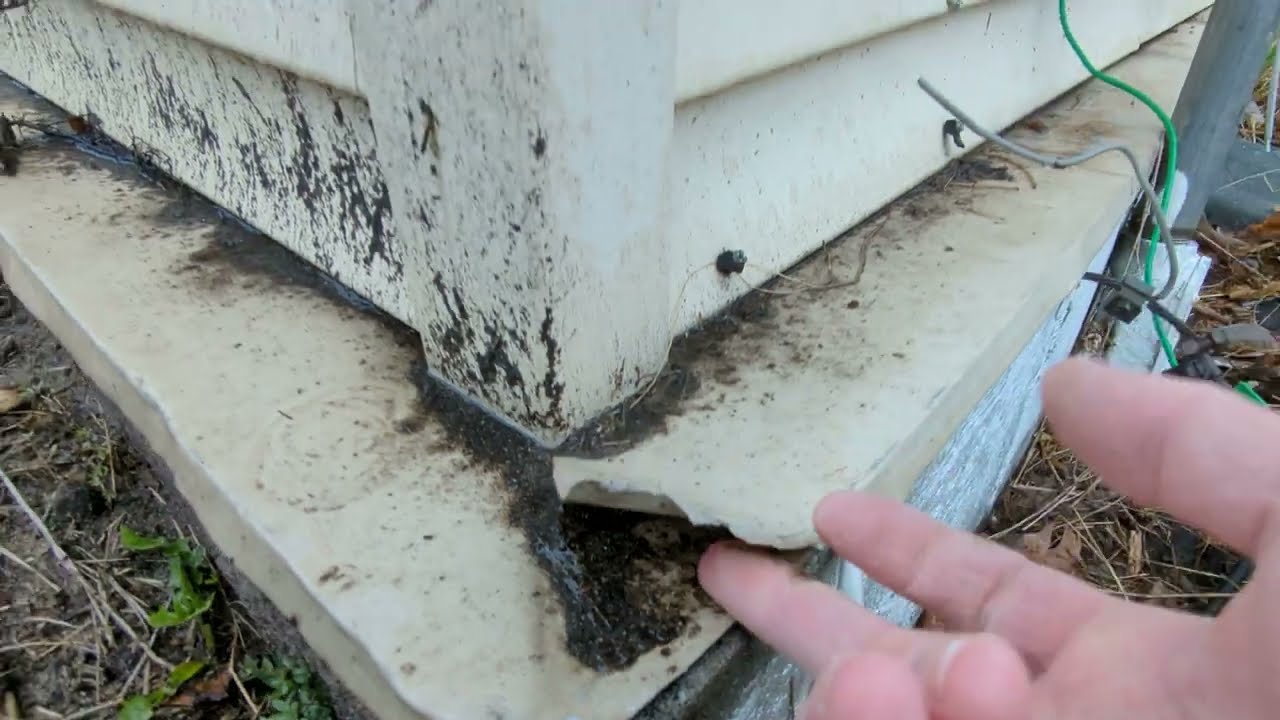 ⚠️SEE FULL🎥Frost Heaving on Block Foundation #foundation #construction #realestate