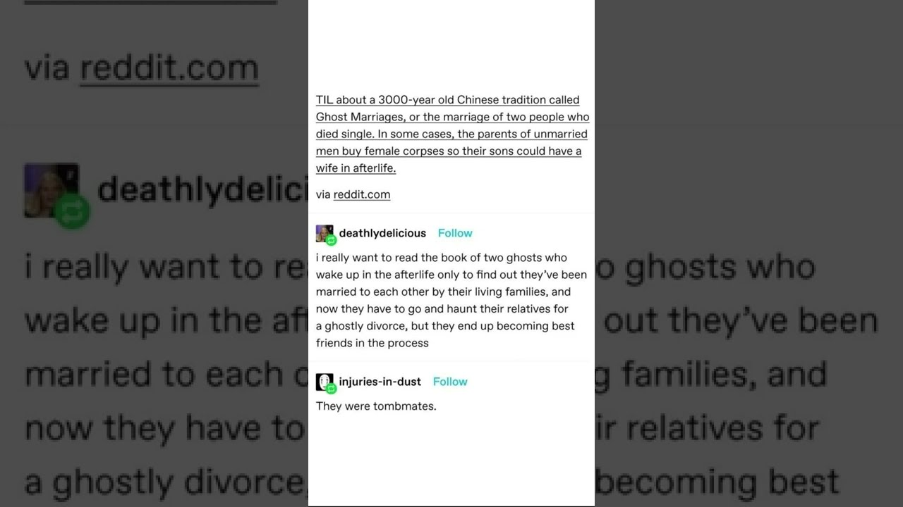 Tumblr Short: Tombmates