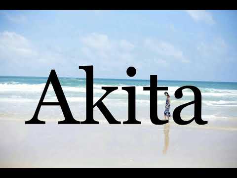 How To Pronounce AkitaππππππPronunciation Of Akita