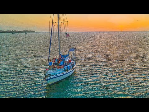 SeaBase Coral Reef Sailing – What is it? What do they actually do? What ...