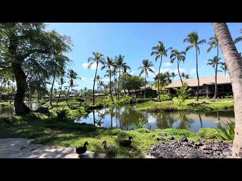 Kona Village - Lagoon & Romantic Dinners - Grand Opening 2023 @rosewoodhotels