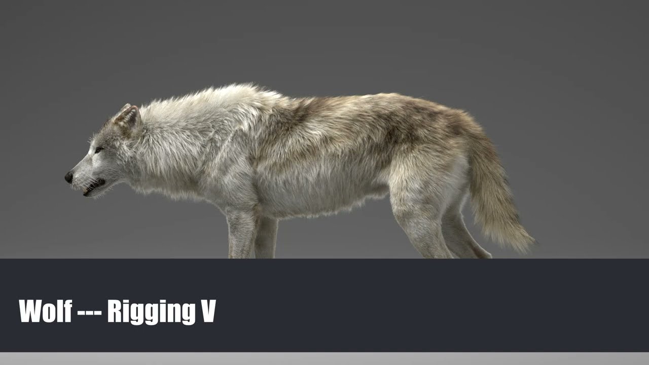 Grey Wolf -- Rigging V