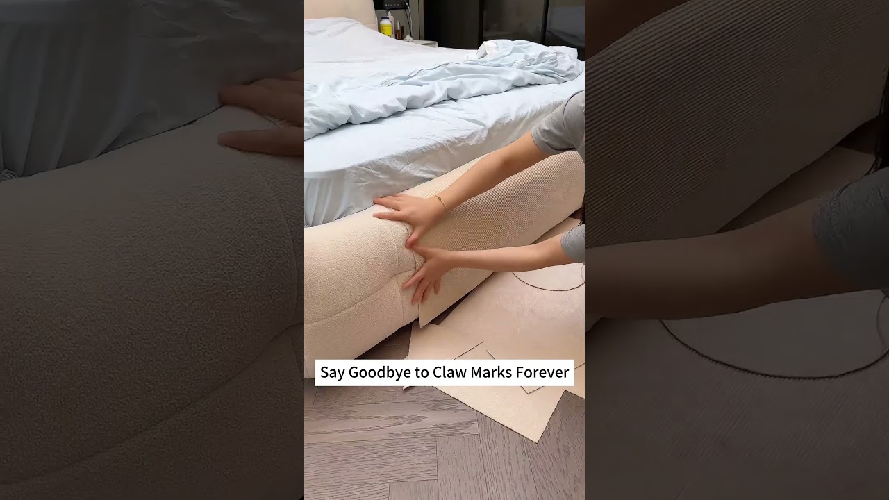 The Best Couch Protection for Cat Parents