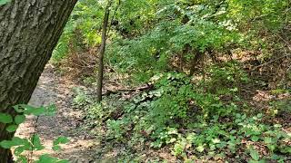 3 Best Hiking Trails in Topeka, KS - Expert Recommendations