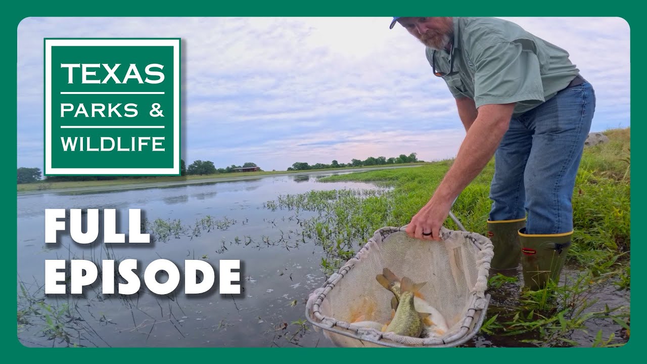 Snapping Turtles, Cooper Lake, Future Fishing Holes | Texas Parks & Wildlife Series (Full Episode)