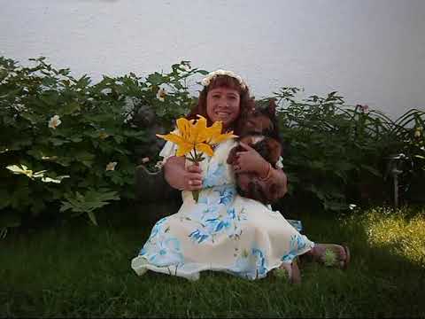 EMMA THE SUMMER YELLOW LILY
