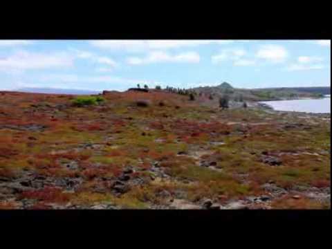 Rick Marcum - Ecuador Photo Movie